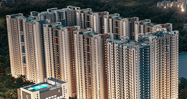 About Us - Merlin Projects